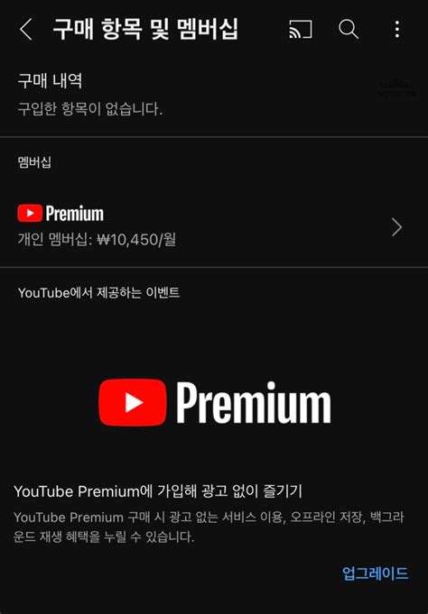 유튜브 프리미엄 우회 아이폰 터키 가격 결제 가족공유