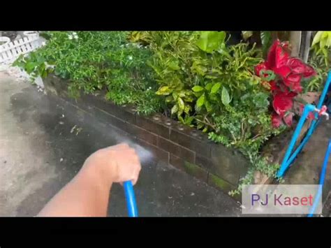 สายยางรดน้ำต้นไม้ ล้างรถ สีฟ้า พร้อมข้อต่อก๊อกน้ำและปืนฉีดน้ำ พร้อมใช้งานใน Shopee Thailand