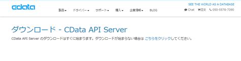 無料の Api 自動生成ツールを使って、excelファイルから Rest Api を生成してみる：cdata Api Server