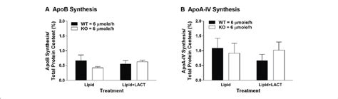 Apolipoprotein Apo B A And ApoA IV B Protein Synthesis In Download Scientific Diagram