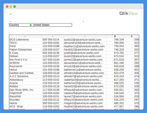 15 Best Qlikview Dashboard Examples Rigorous Themes