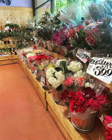 Trader Joes Christmas Wreaths Trader Joes Holiday Decor