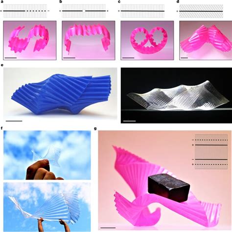 Two Step Shape Morphing In Groovy Metasheets A Left Side View Of Download Scientific Diagram