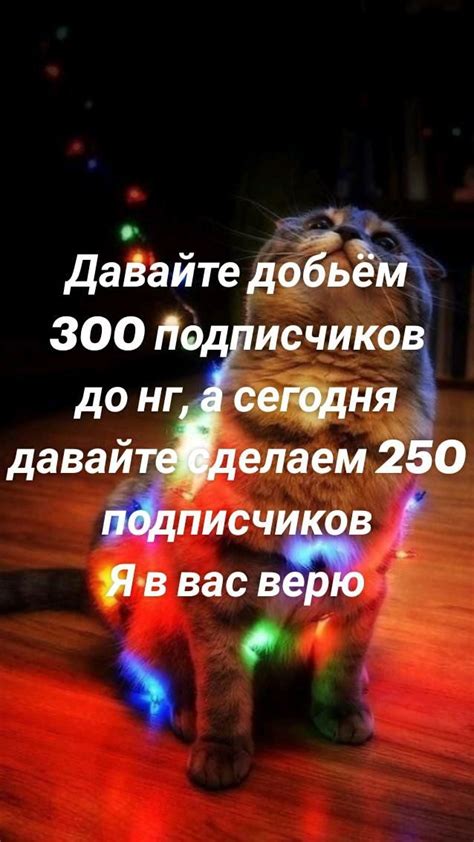 Давайте добьём 300 подписчиков до нг а сегодня давайте сделаем 250 подписчиков Я в вас верю