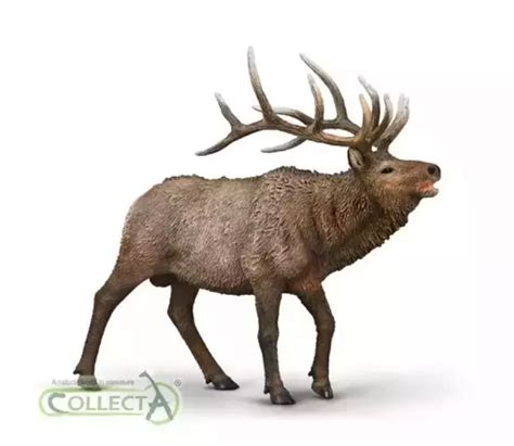 Collecta Jeleń Kanadyjski Collecta