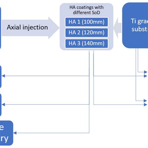 Workflow Of The Experiment Download Scientific Diagram