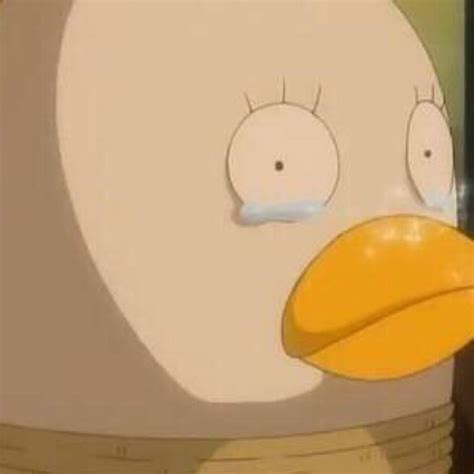 Python如何将变量名转化为同名字符串? 知乎 Python如何将变量名转化为同名字符串? 知乎