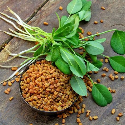 Rara Brown Methi Seeds At Rs 75kg In Jaipur Id 2852888907891