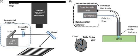 spatial mapping of drug delivery to brain tissue using hyperspectral