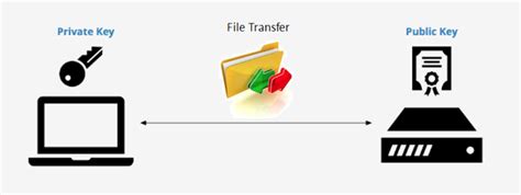 Linux SSH의 키 기반 인증으로 원격 접속과 scp 명령어로 파일 전송 YesXYZ