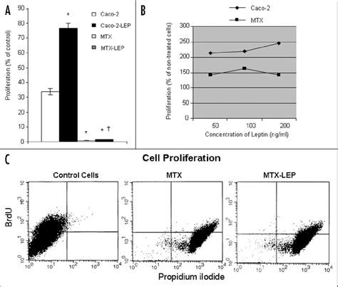 The Effect Of Leptin On Mtx Induced Inhibition Of Caco 2 Cells