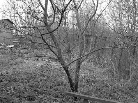 Python Изменение яркости изображения по строкам пропорционального распределения Гаусса Stack