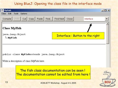 PPT Guidelines For Using BlueJ PowerPoint Presentation Free Download ID