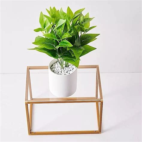 2 Clear 12 Plexiglass Sheets Rectangular Acrylic Sign Boards Wedding
