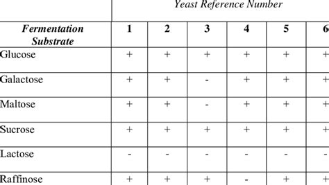 Fermentation Of Different Substrates By Yeasts Isolated From Mukumbi Download Table