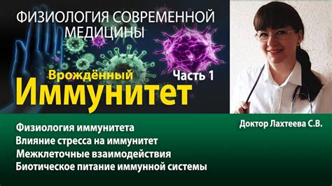 Врождённый иммунитет. Физиология иммунитета, биотическое питание ...