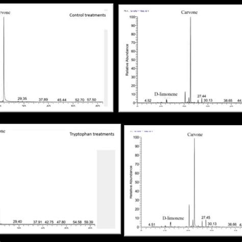 GC MS Chromatograms Of Mentha Viridis Oil From Untreated Plants And Download Scientific Diagram