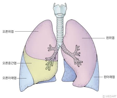 폐허파 네이버 블로그