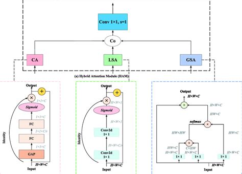 The Framework Of Ham Which Consist Of Ca Lsa Gsa And Convolution Download Scientific Diagram