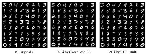 Ctrl Closed Loop Transcription To An Ldr Via Minimaxing Rate Reduction