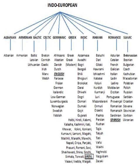 Figure 1 1 From A Contrastive Analysis Of Urdu And English Vocabulary Semantic Scholar