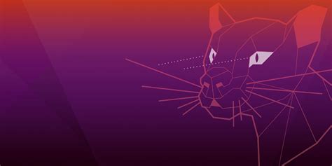 How I Fixed My ‘ubuntu 2004 No Audio Dummy Output” Issue By Aaro Alhainen Medium