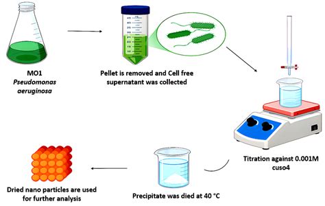 Biogenesis Of Copper Oxide Nanoparticles Using Marine Bacteria Pseudomonas Aeruginosa In Vitro