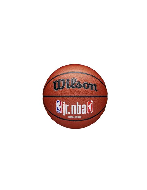 Wilson Jr Nba Fam Logo Inout Ball Wz2009801xb