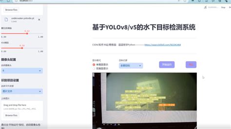 基于深度学习的水下目标检测系统（网页版yolov8v7v6v5代码训练数据集） 逗逗班学python 博客园