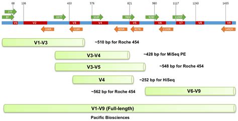 16s rrna and 16s rrna gene ezbiocloud help center