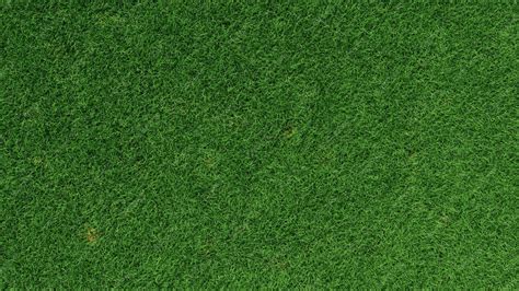 Premium Photo Detailed Green Grass Lawn Texture Top View 3d Rendering
