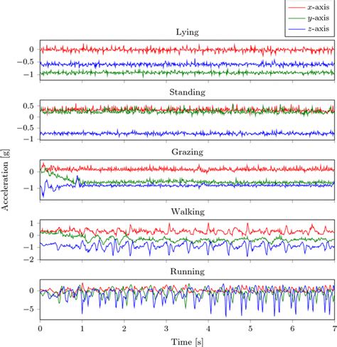 Raw Acceleration Measurements From The 2014 Sheep Dataset Typical