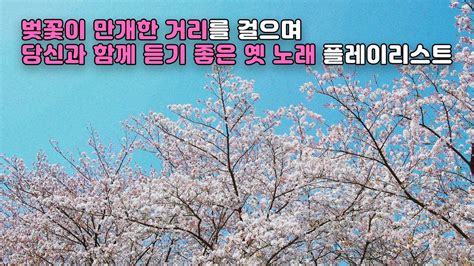 Playlist 벚꽃이 만개한 거리를 걸으며 당신과 함께 듣기 좋은 옛 노래 플레이리스트ㅣ오아시스레코드 Youtube