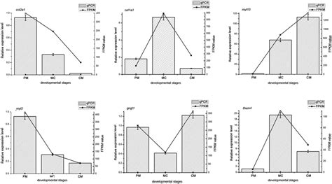 Expression Profiles Of Six Genes The X Axis Represents The