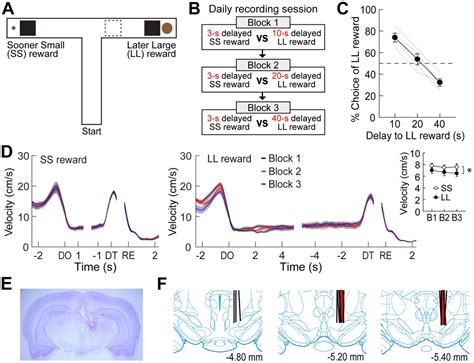 A Role For The Midbrain Reticular Formation In Delay Based Decision Making Cn1699 Social