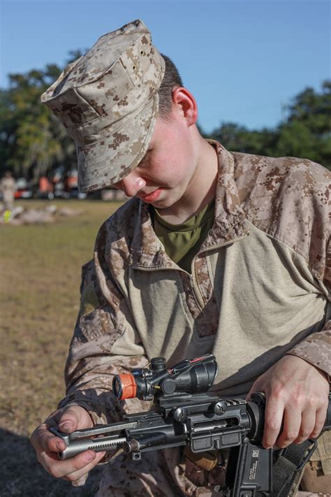 Dvids Images Echo Company Grass Week Image 3 Of 6