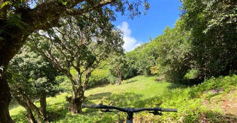 Chamouny Ein Einzigartiges Raderlebnis In Einem Privaten Naturgebiet Getyourguide