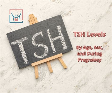Normal Tsh Levels By Age Sex And During Pregnancy Primehealth Denver