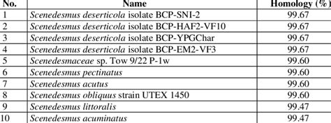Nucleotide Sequence Comparison Of Isolated Green Algae With Other Download Scientific Diagram