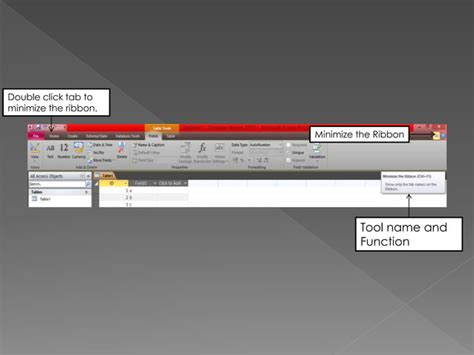 Ms Access Lesson Interface PPTX Operating Systems Computer Software And Applications