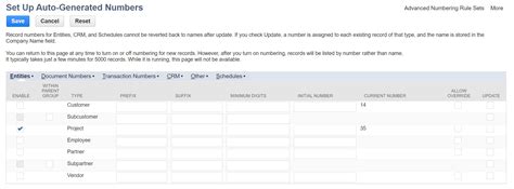 How To Set Up The Netsuite Advanced Numbering Feature Suiterep