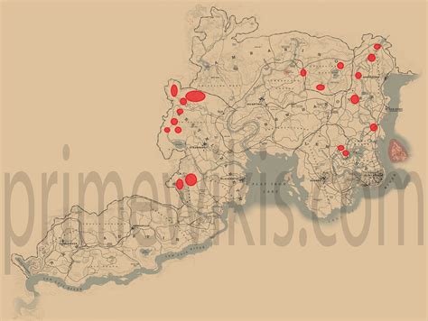 Bear Hunt Rdr2 At Roger Krug Blog