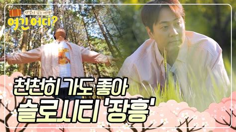 빼곡한 편백 숲 맑은 공기로 힐링하고~~ 장흥에서만 맛볼 수 있는 한우키조개표고 장흥 삼합까지 즐기는 장흥 여행 여긴 어디 Kbs 240602 방송 Youtube