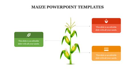 Ready To Use Maize Powerpoint Templates Slide Design