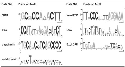 Sequence Logos Of Predicted Motifs Download Scientific Diagram