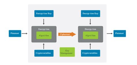 Chapter 5 Understanding Data Security Flashcards Quizlet