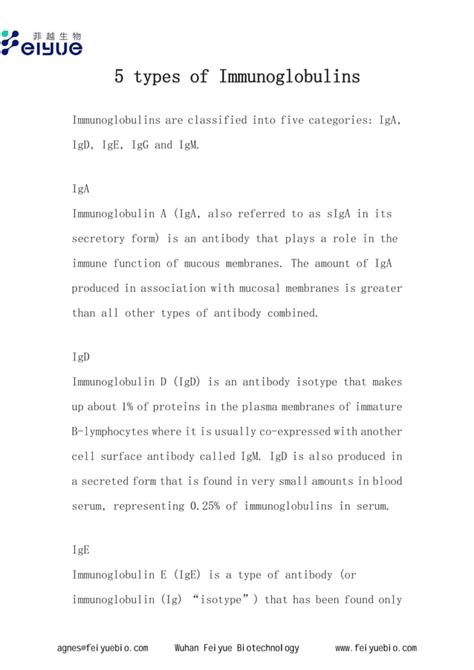 5 Types Of Immunoglobulins Pdf