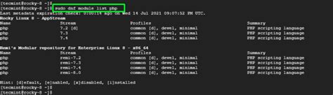 How To Install PHP 8 0 On Rocky Linux And AlmaLinux