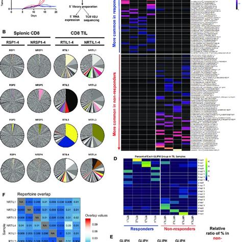 Twenty Year Overall Survival Studying Nuclear Polymorphism Level By Hpv