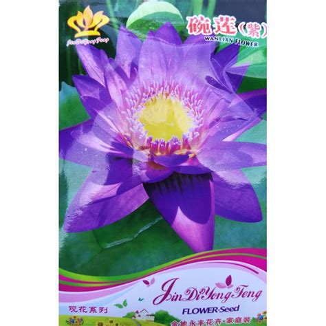 Expired Clearance Lotus Waterlily Flower Species Seed Series Biji Bernih Bunga Teratai
